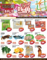 Field Fresh Supermarket Flyer Toronto